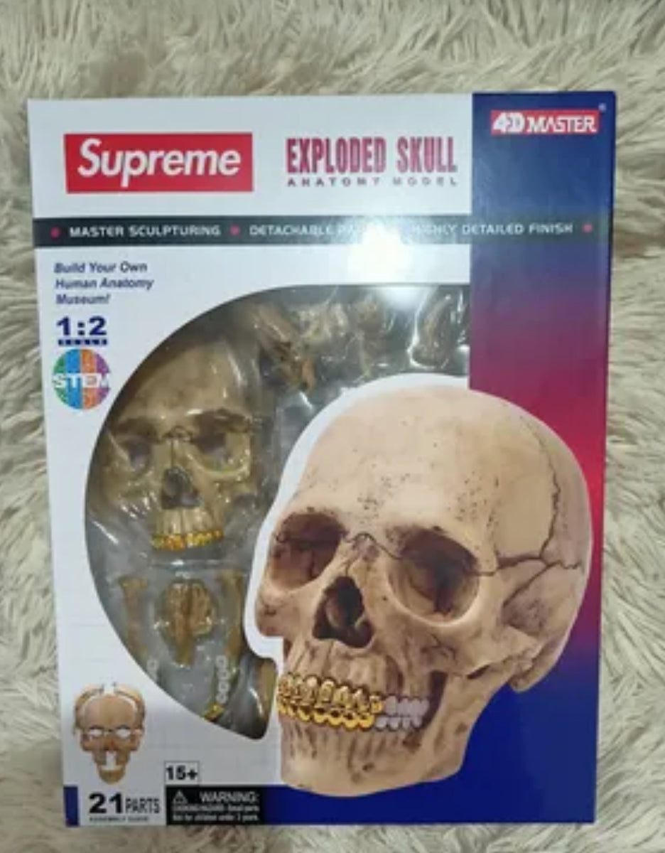 Supreme 4D Model Human Skull – Token Miami