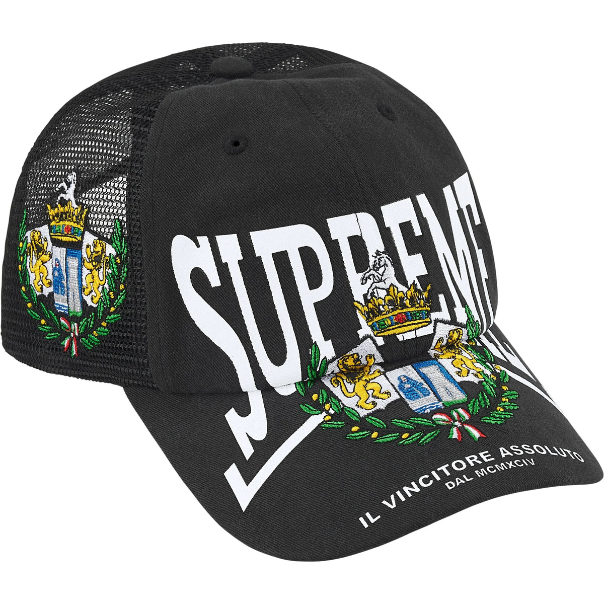Big Crest Mesh Back Panel 6-Panel (Black) – Token Miami